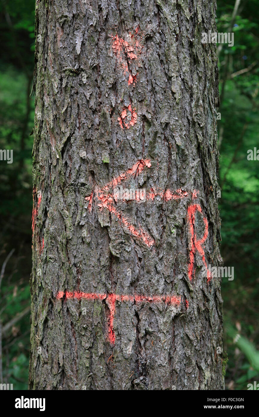 Wood markings hi-res stock photography and images - Alamy