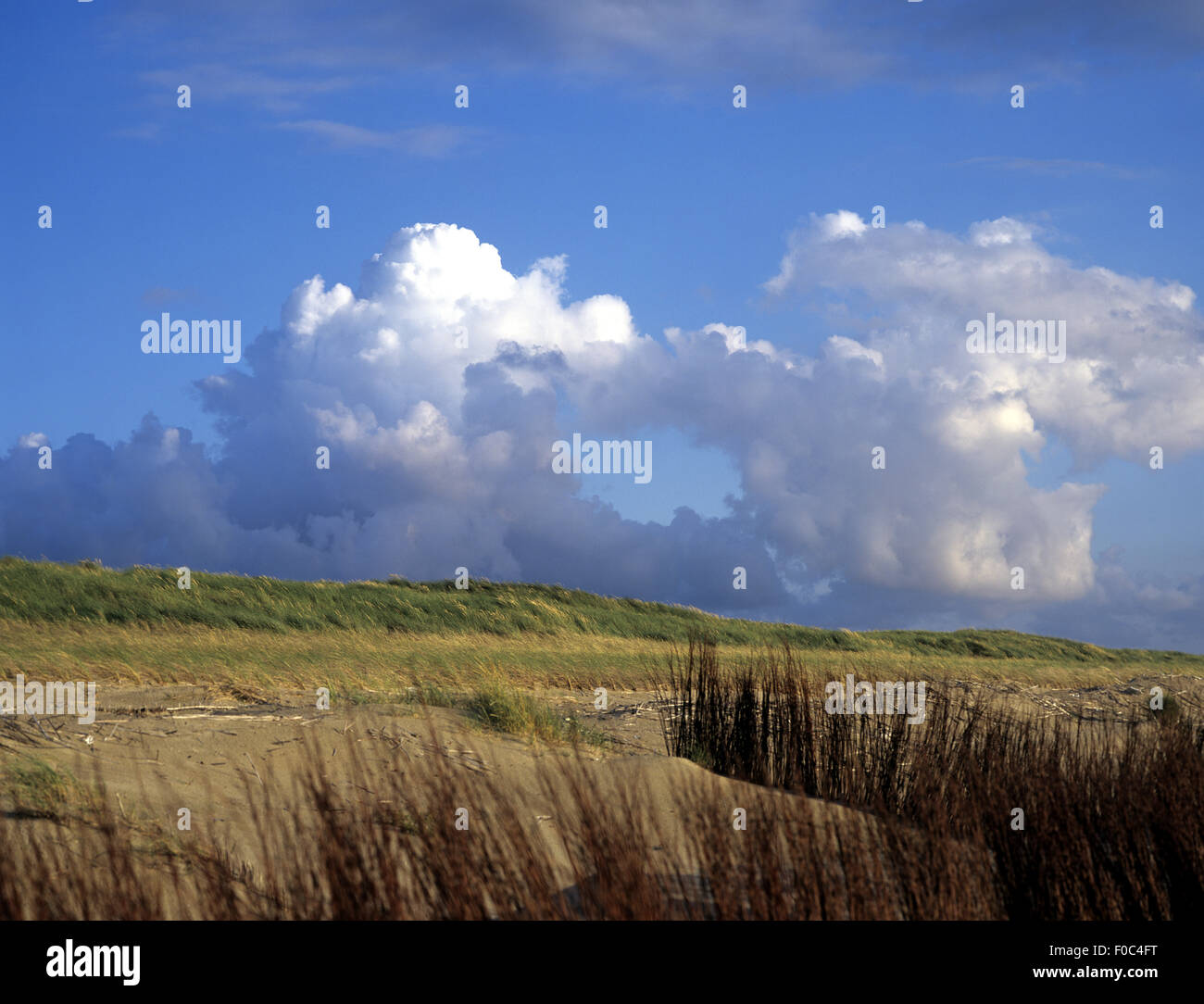 Nordseeduene; Nordsee; See; Meer; Sand Stock Photo - Alamy