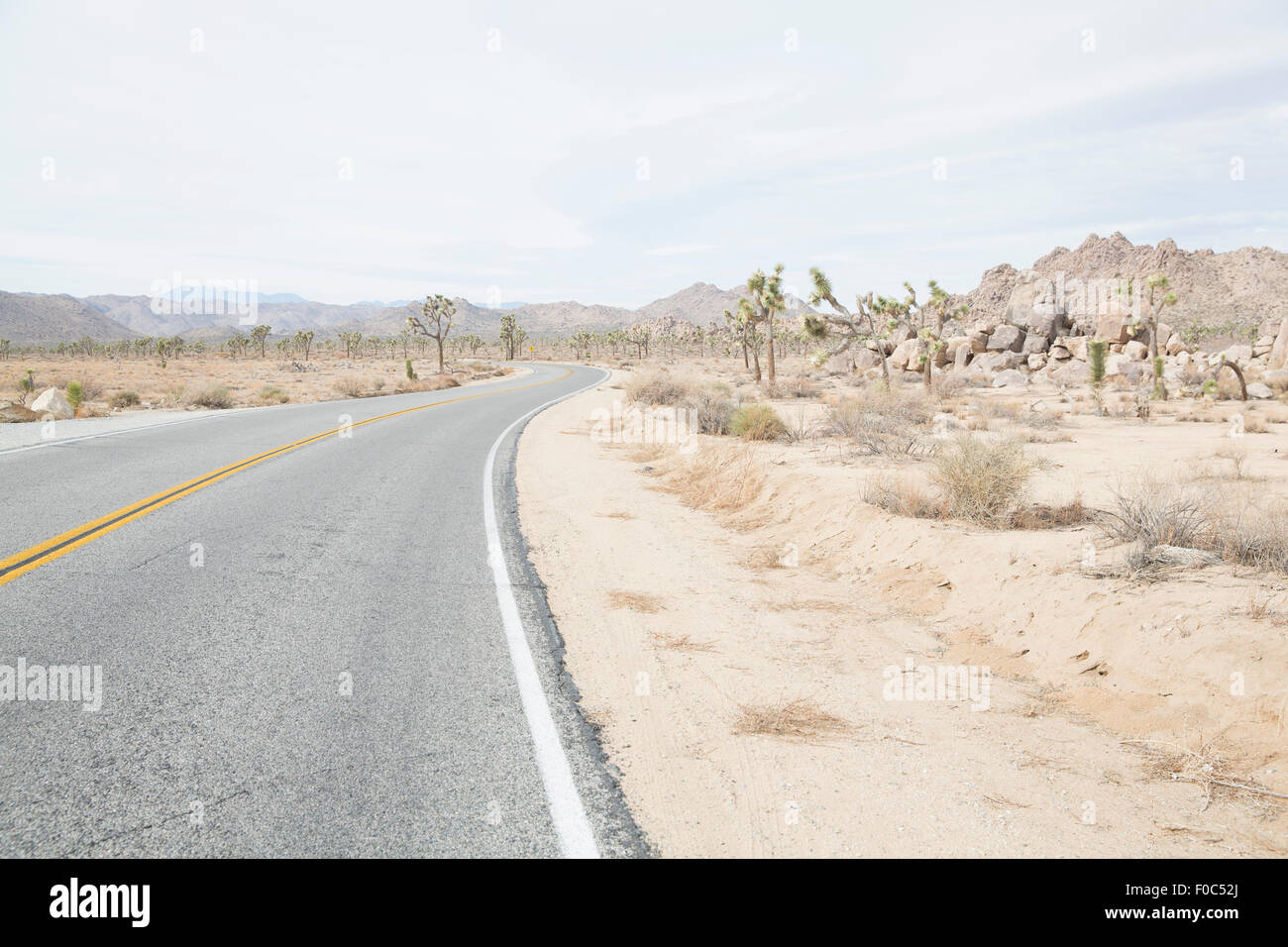 Arid road hi-res stock photography and images - Alamy