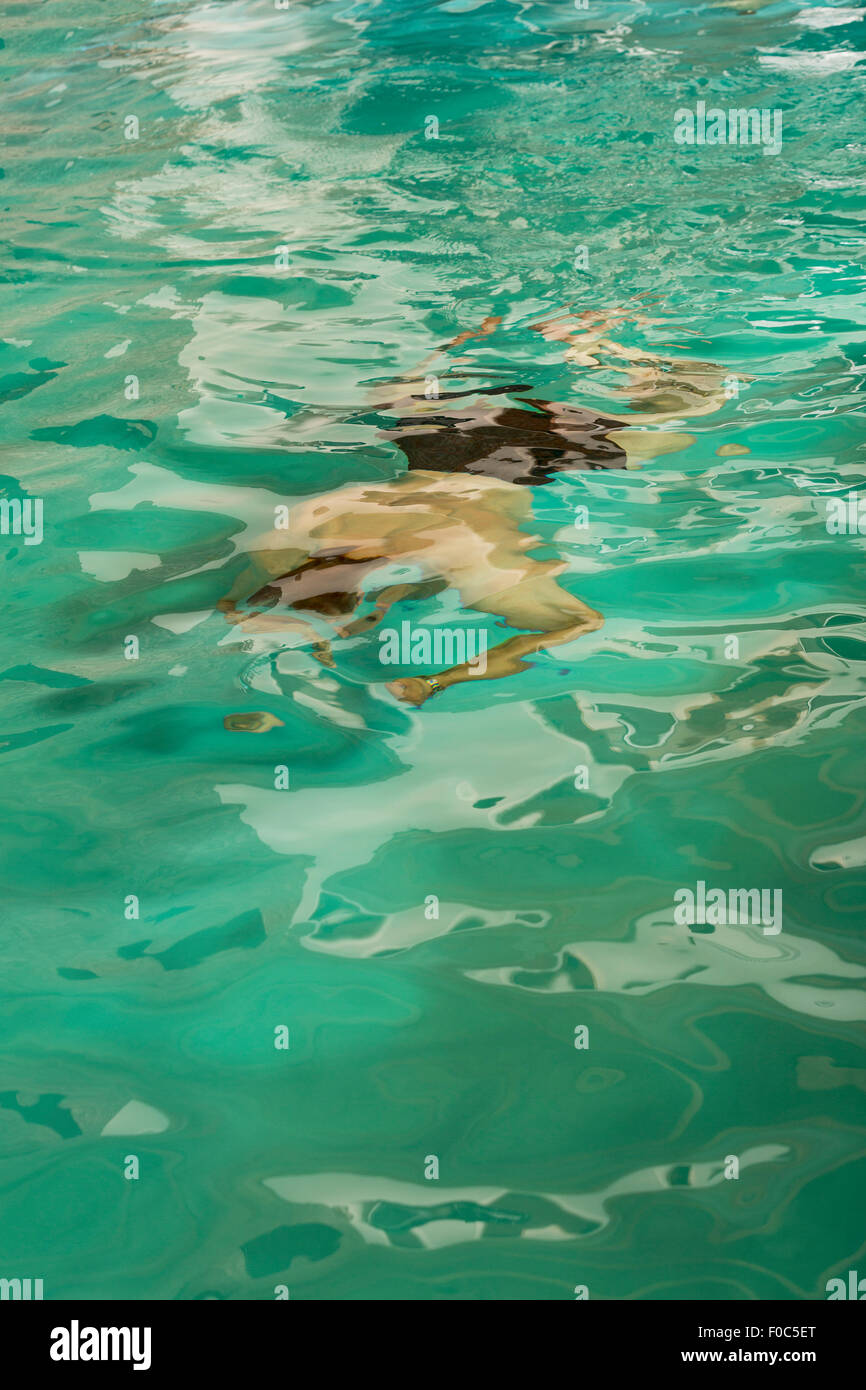 One man swimming hi-res stock photography and images - Alamy