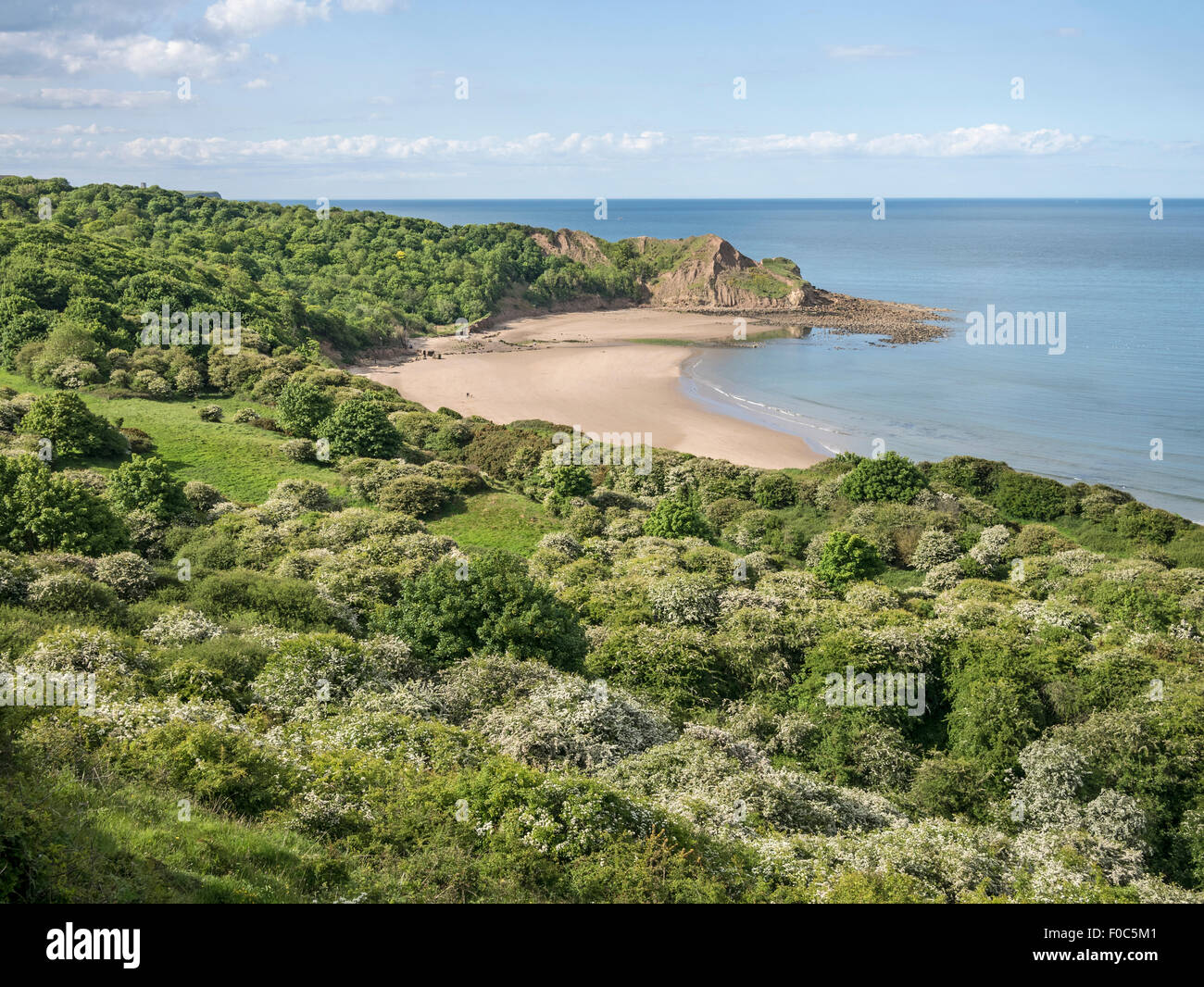 Cayton Bay Yorkshire UK in Spring Stock Photo - Alamy