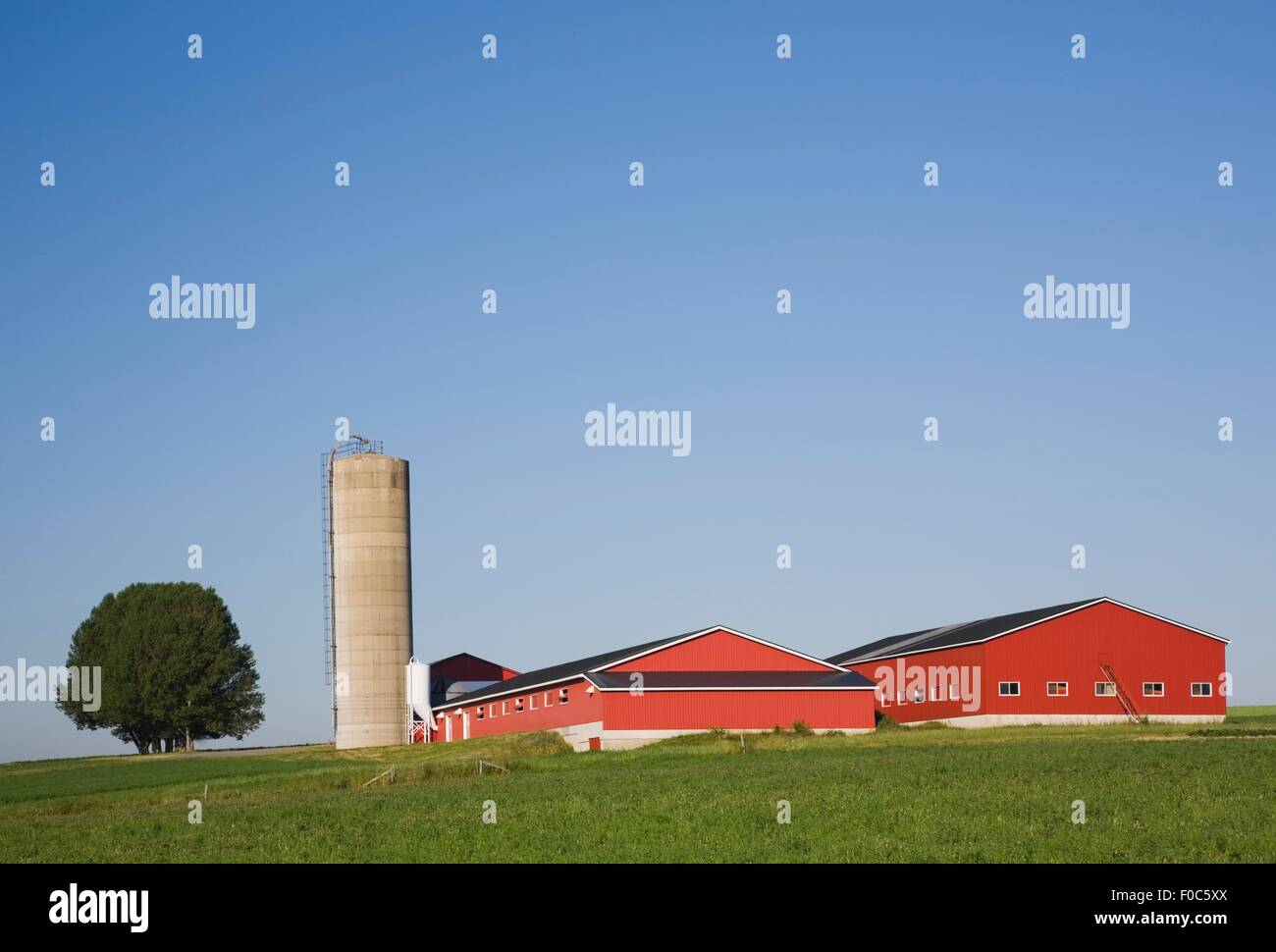 Dairy Farm America Stock Photos & Dairy Farm America Stock Images - Alamy