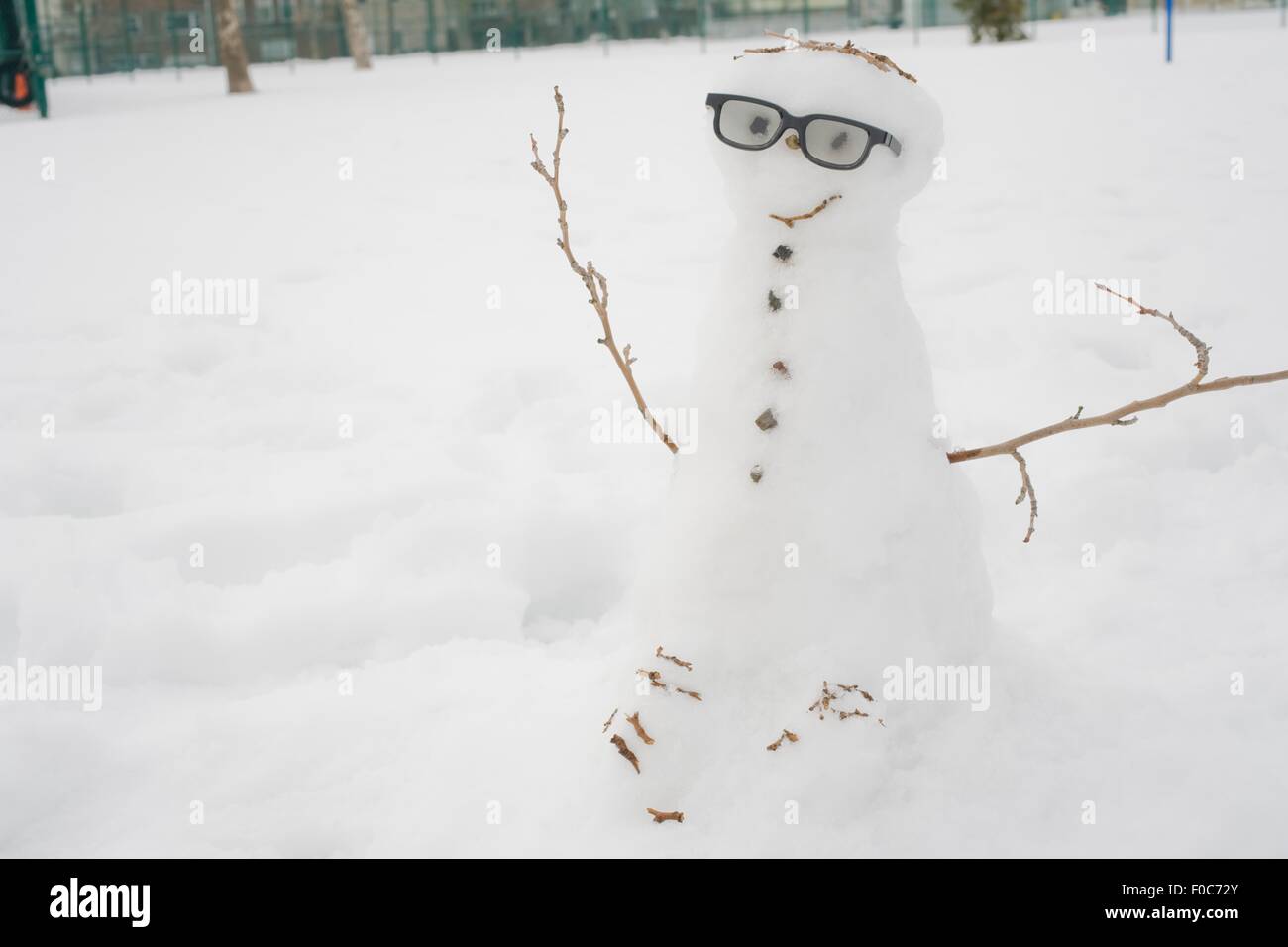 Snowman in nature hi-res stock photography and images - Alamy