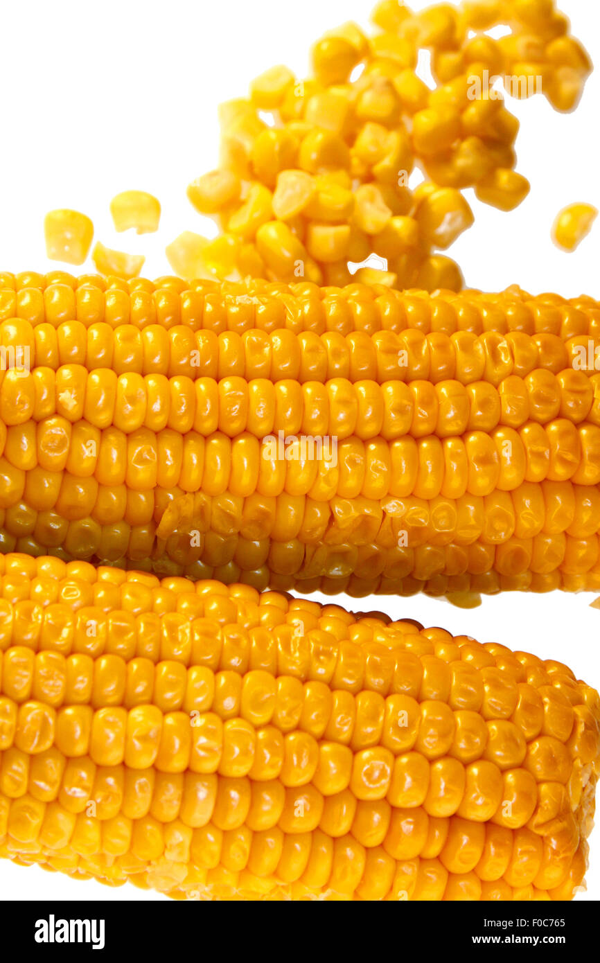 Maiskolben/ maize/ corn cob - Symbolbild Nahrungsmittel Stock Photo - Alamy