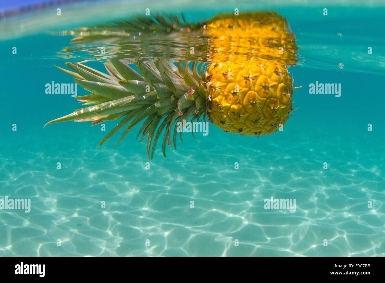 Pineapple floating in swimming pool, close-up Stock Photo - Alamy