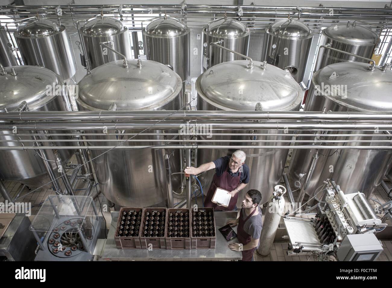 Brewers in brewery Stock Photo - Alamy