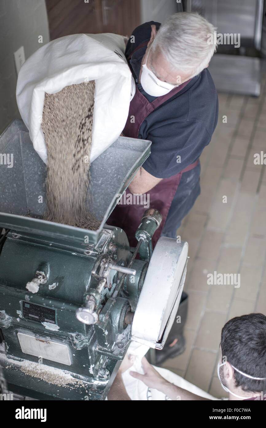 Brewer pouring grain into a machine Stock Photo - Alamy