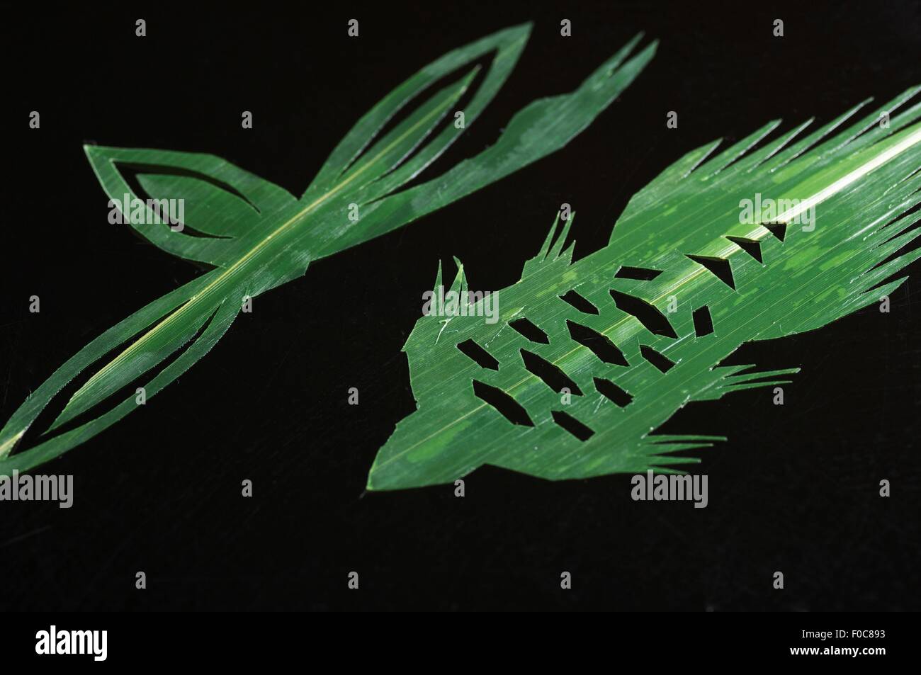 Green leaves cut into decorative shapes Stock Photo - Alamy