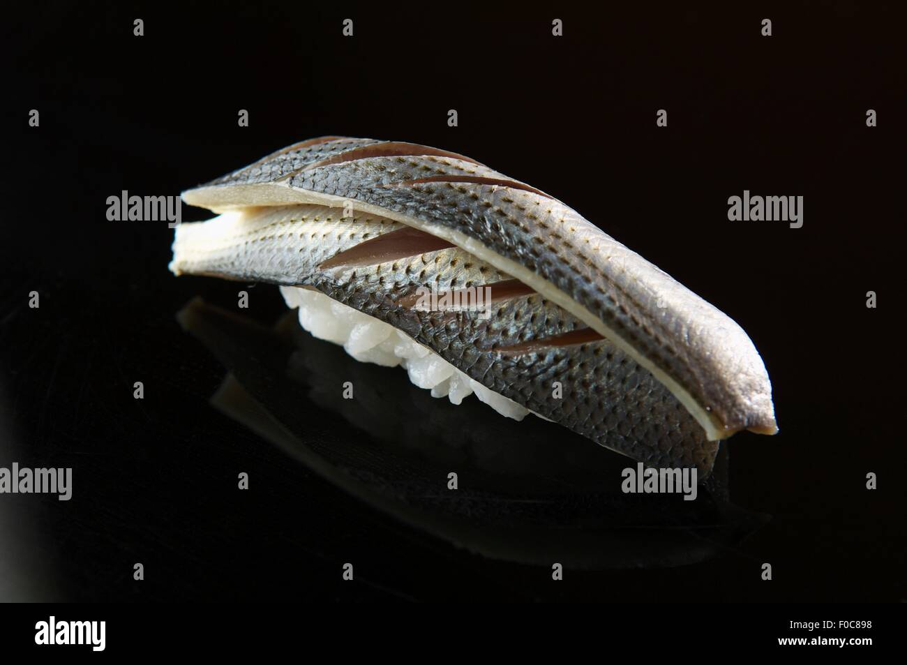Fish scale anatomy hi-res stock photography and images - Alamy