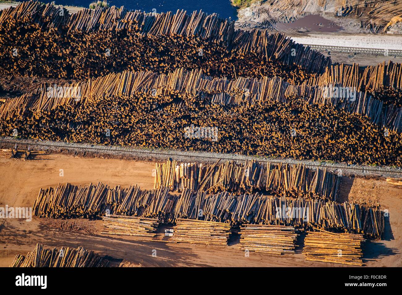 Aerial view of stacks of logged tree trunks in timber yard Stock Photo ...