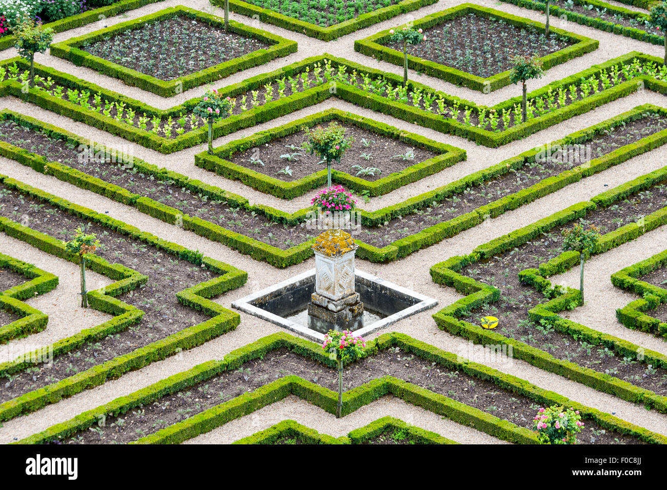 castle gardens with boxwood and vegetables and flowers Stock Photo - Alamy