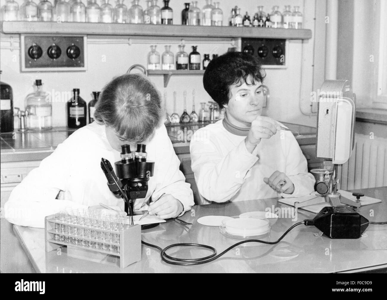 Animal testing laboratory hi-res stock photography and images - Alamy