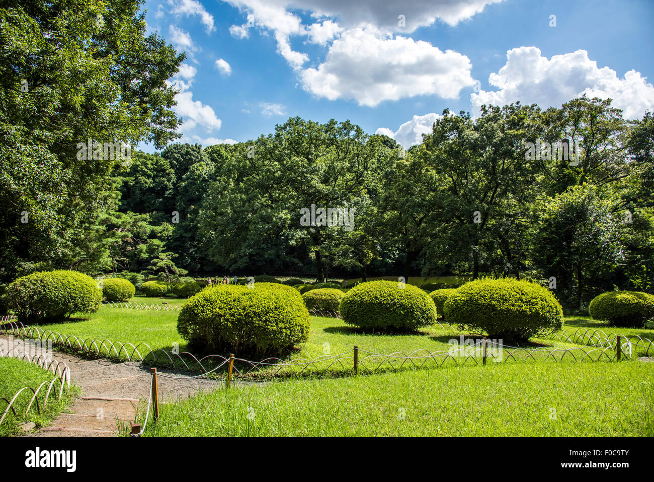 Meiji Jingu Shrine Inner Garden,Shibuya-Ku,Tokyo,Japan Stock Photo - Alamy