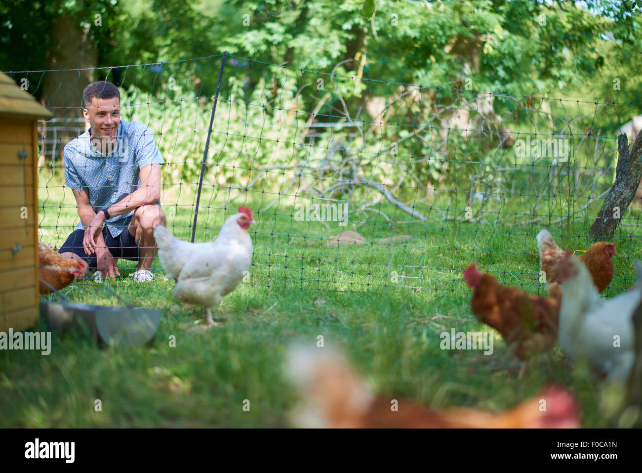 Happy young man looking at chicken in park Stock Photo - Alamy