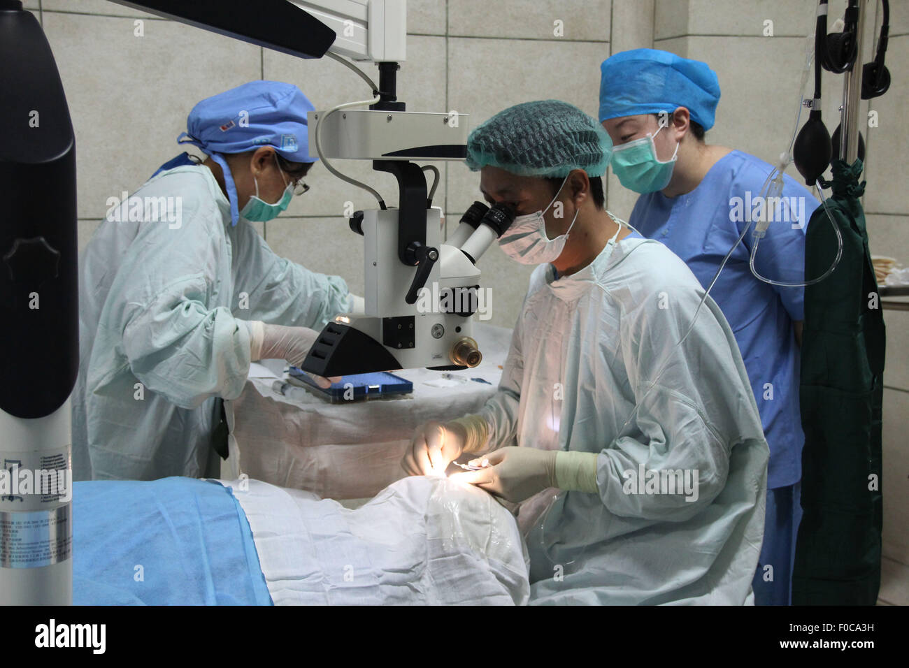 Brightness of the day hi-res stock photography and images - Alamy