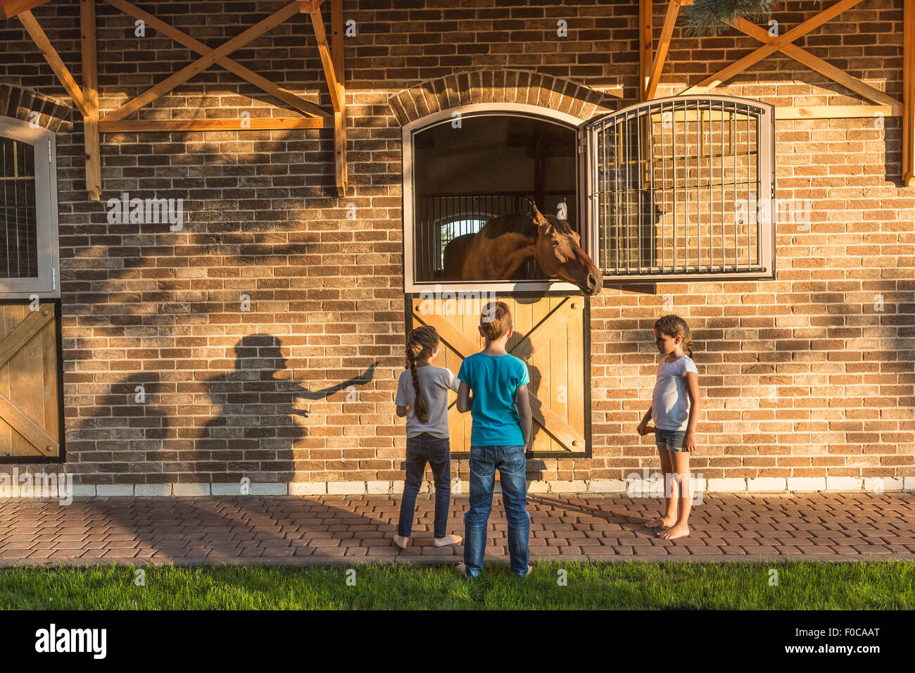 Sister horse in stable hi-res stock photography and images - Alamy