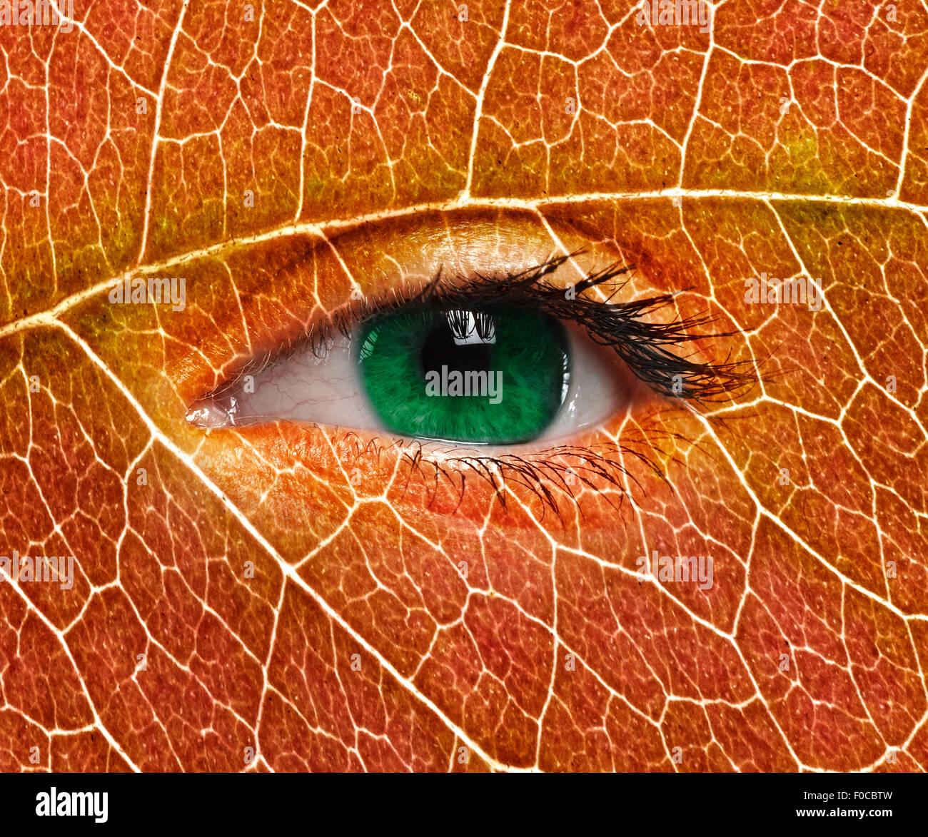 Autumn Green eye close up and leaf texture on face. Ecology concept ...