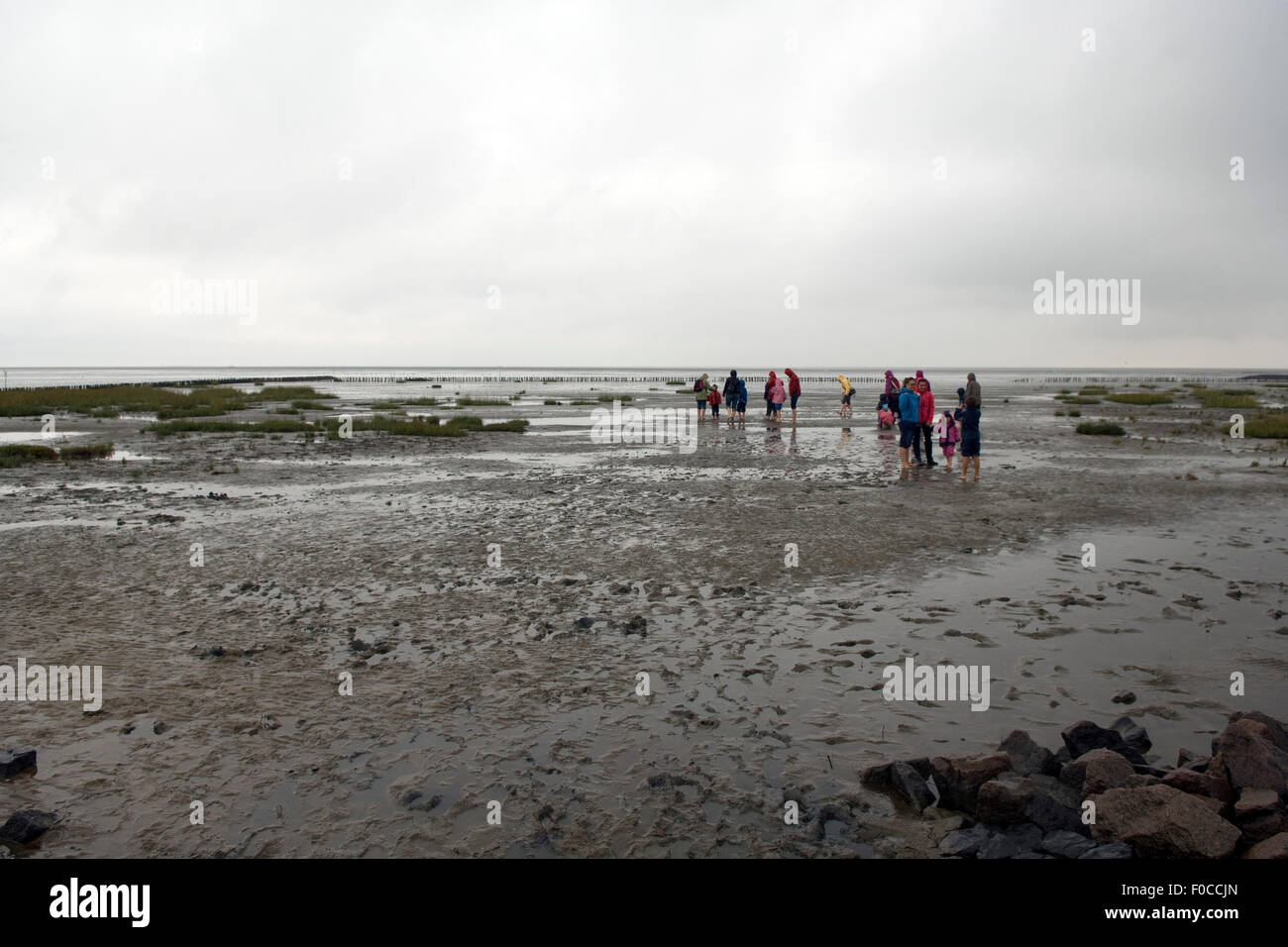 Wattwanderungen hi-res stock photography and images - Alamy