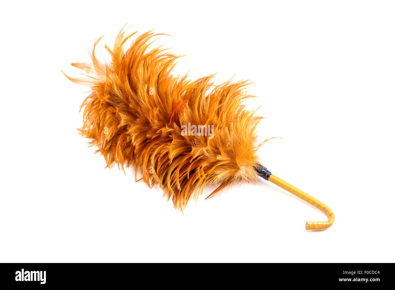 Feather cleaning on isolated white background Stock Photo - Alamy
