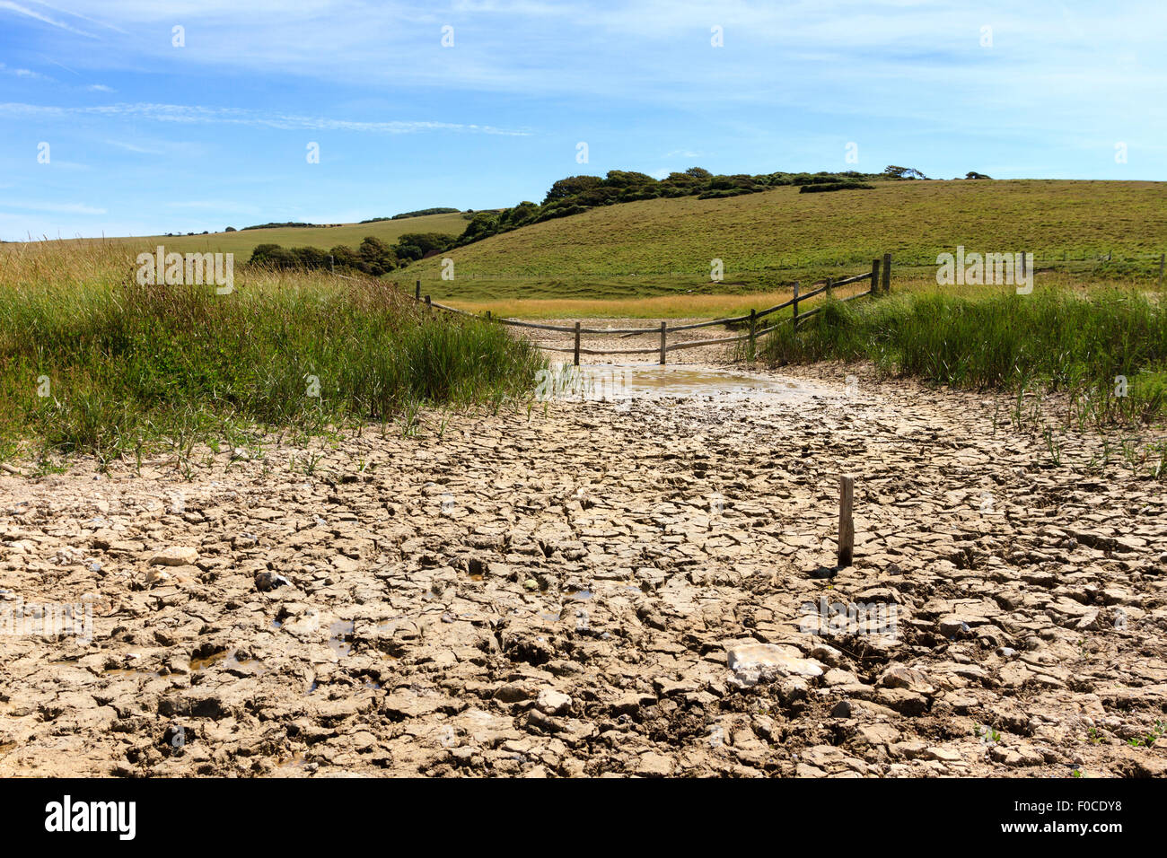 Cracked earth hi-res stock photography and images - Alamy