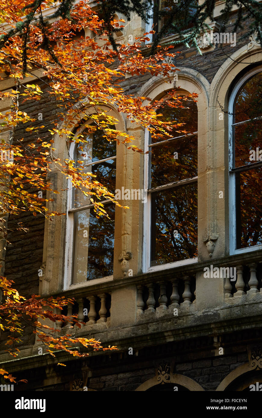 Autumn Leaves, Bristol, England Stock Photo - Alamy
