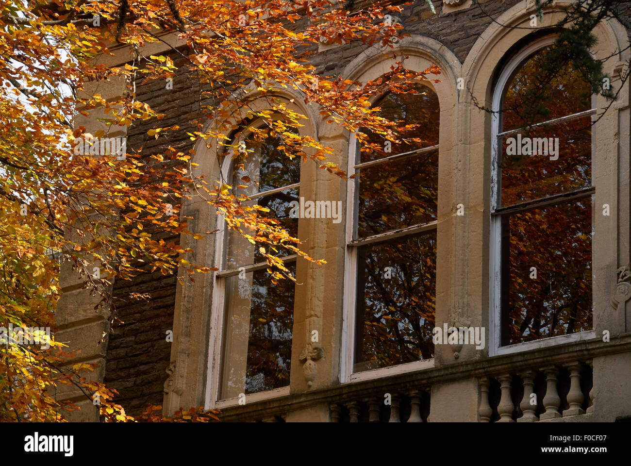 Autumn Leaves, Bristol, England Stock Photo - Alamy