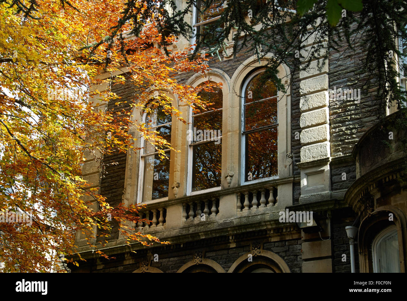 Autumn Leaves frame the windows of a Victorian building in Bristol ...