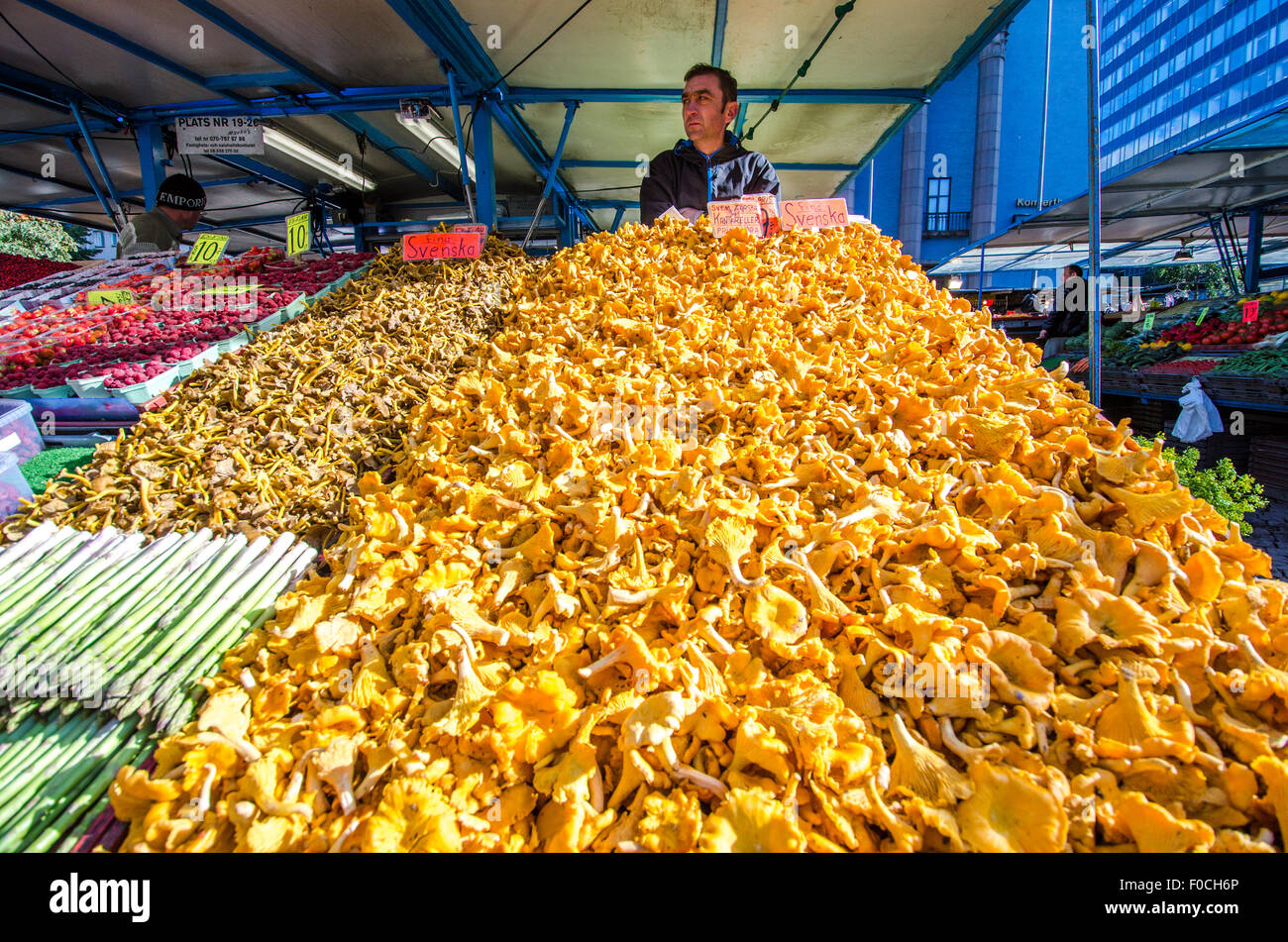Mushrooms stall in Stockholm Stock Photo - Alamy