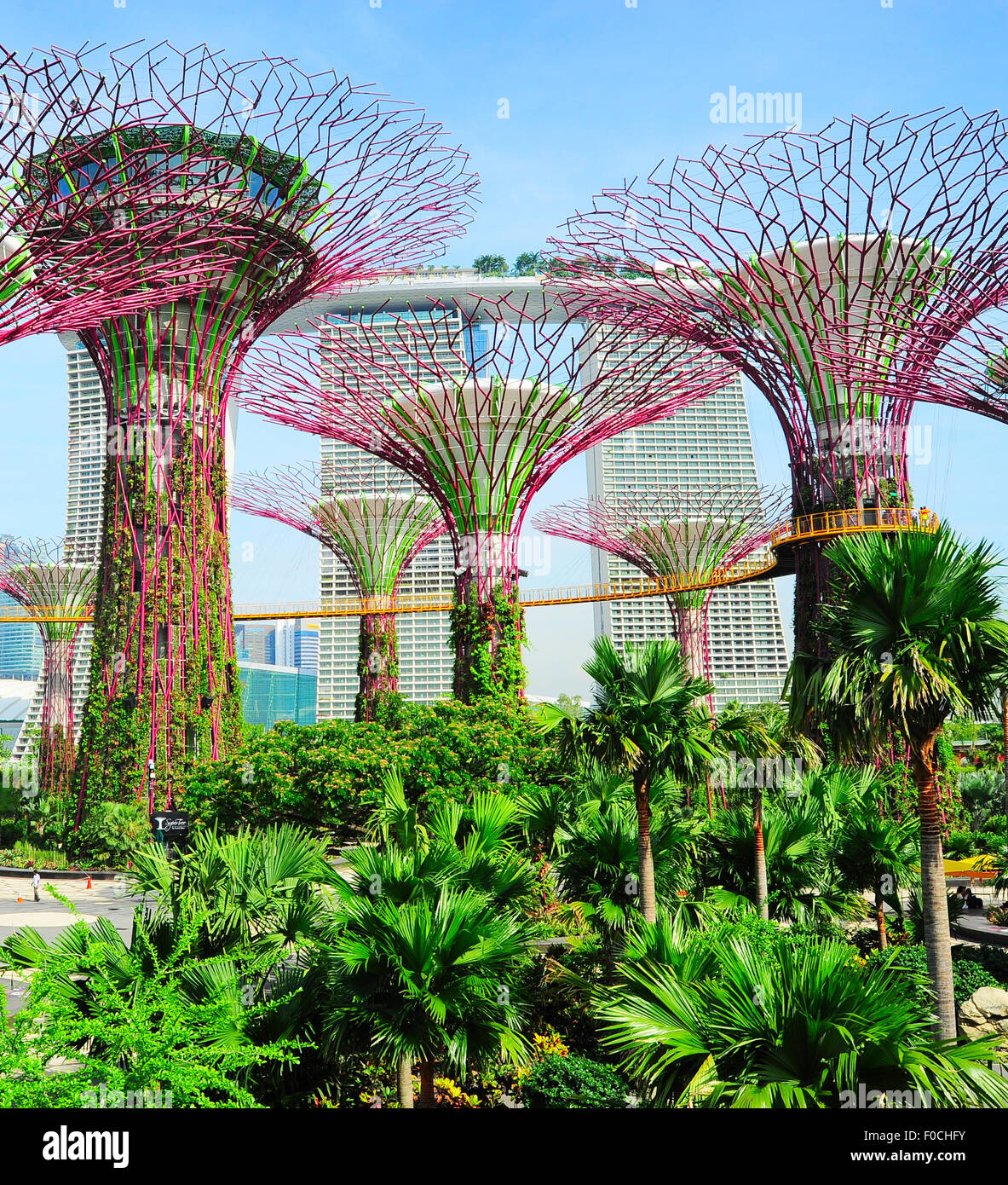 Singapore botanical gardens hi-res stock photography and images - Alamy