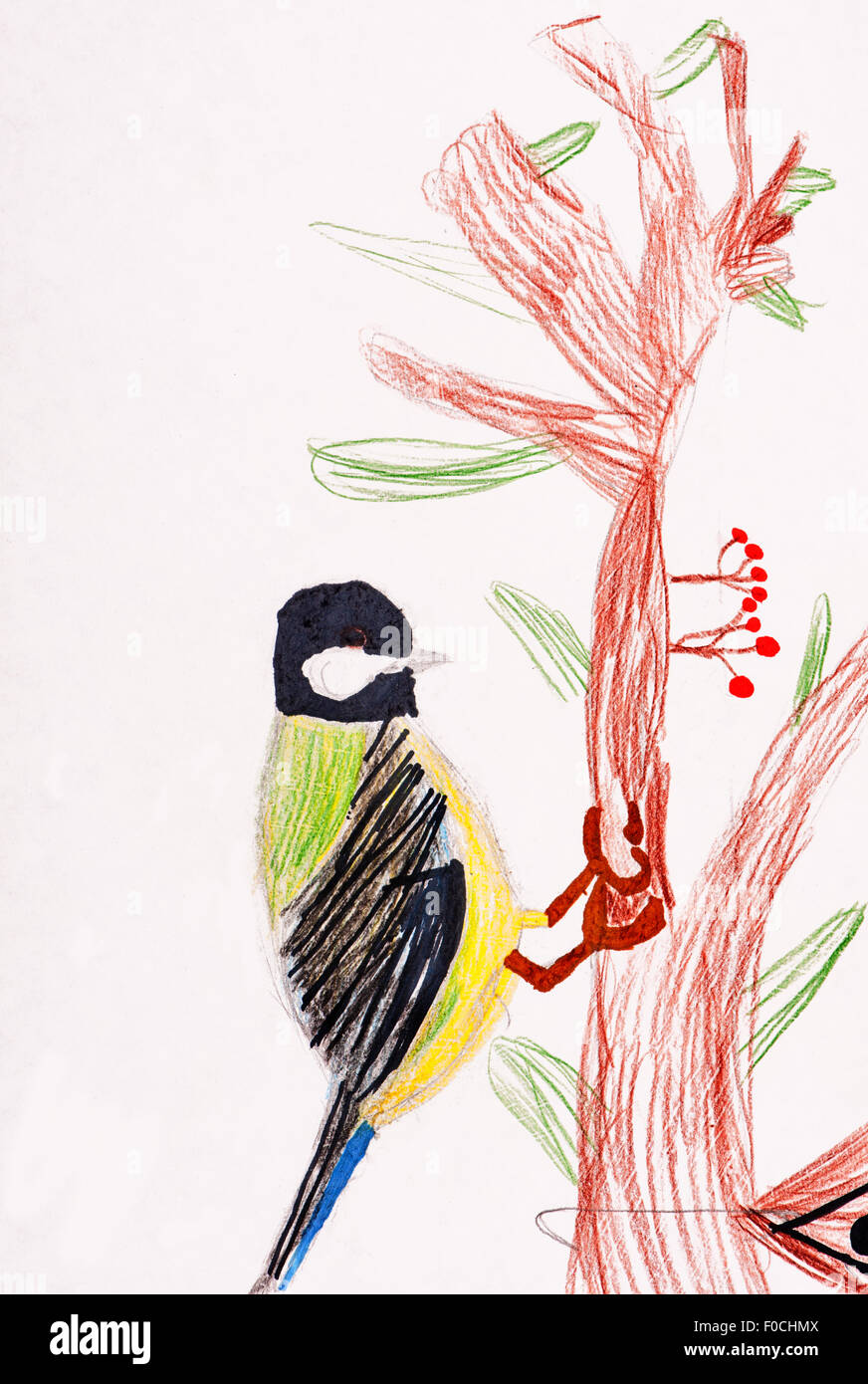 children's drawing. little bird in forest Stock Photo - Alamy