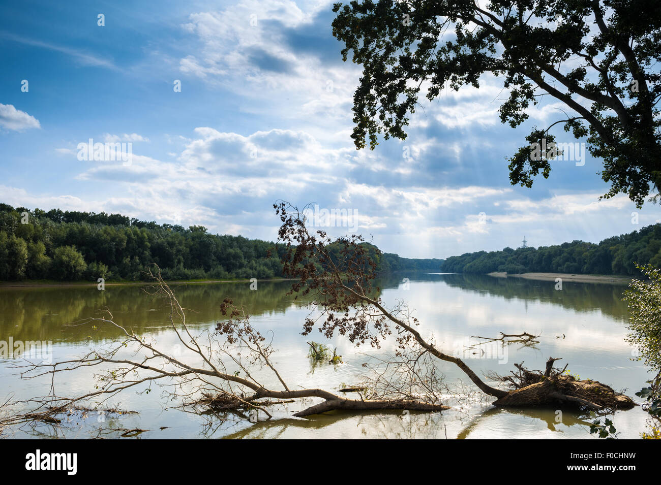 bright summer landscape with river and fallen tree Stock Photo - Alamy