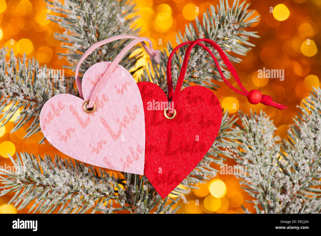 two hearts on christmas fir tree branch and golden background Stock ...