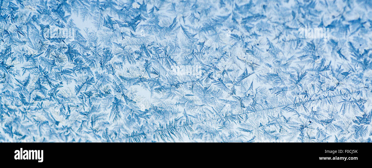 Winter iced background Stock Photo - Alamy