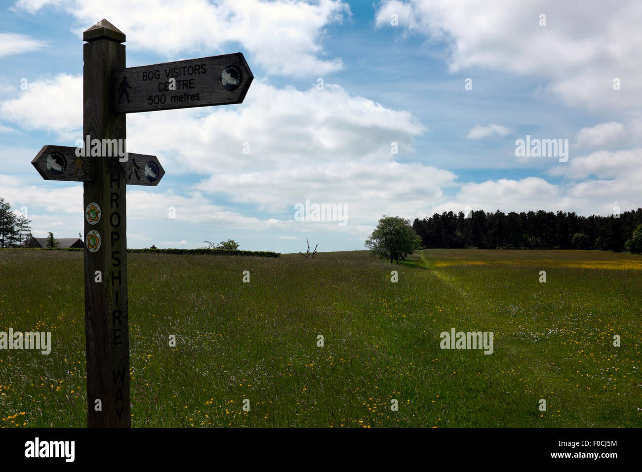 The Shropshire Way, near the Stiperstones, Shropshire, England, UK ...