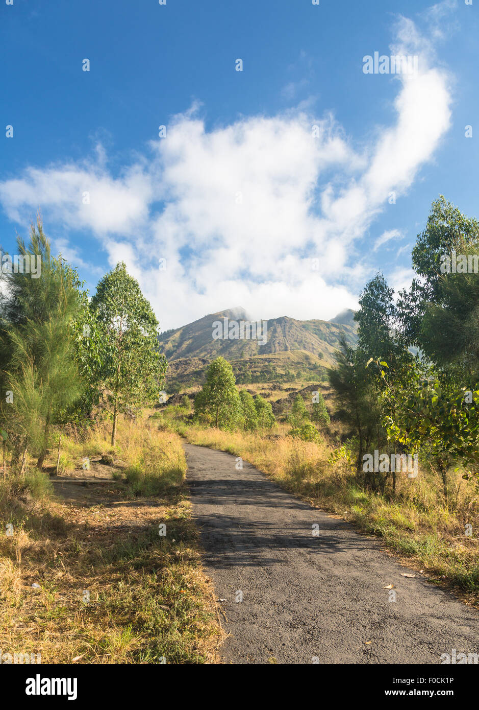 Kintamani highland hi-res stock photography and images - Alamy