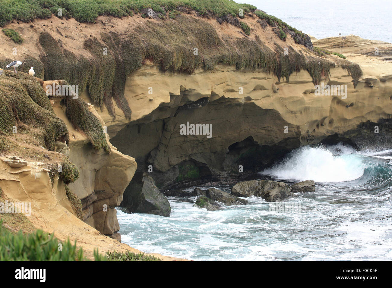 Cliff and ocean hi-res stock photography and images - Alamy