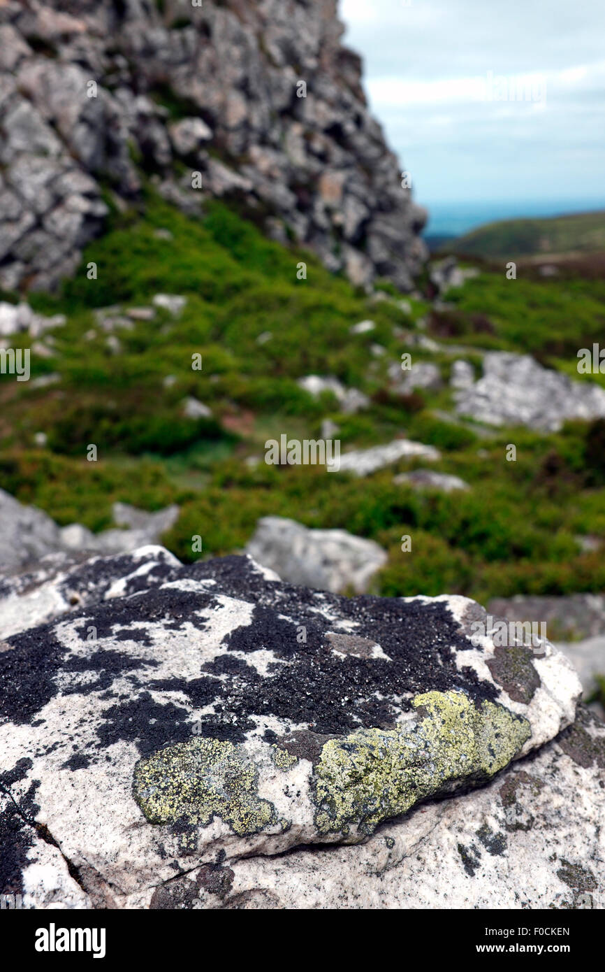 Quartzite rock on the Stiperstones, Shropshire, England, UK Stock Photo ...