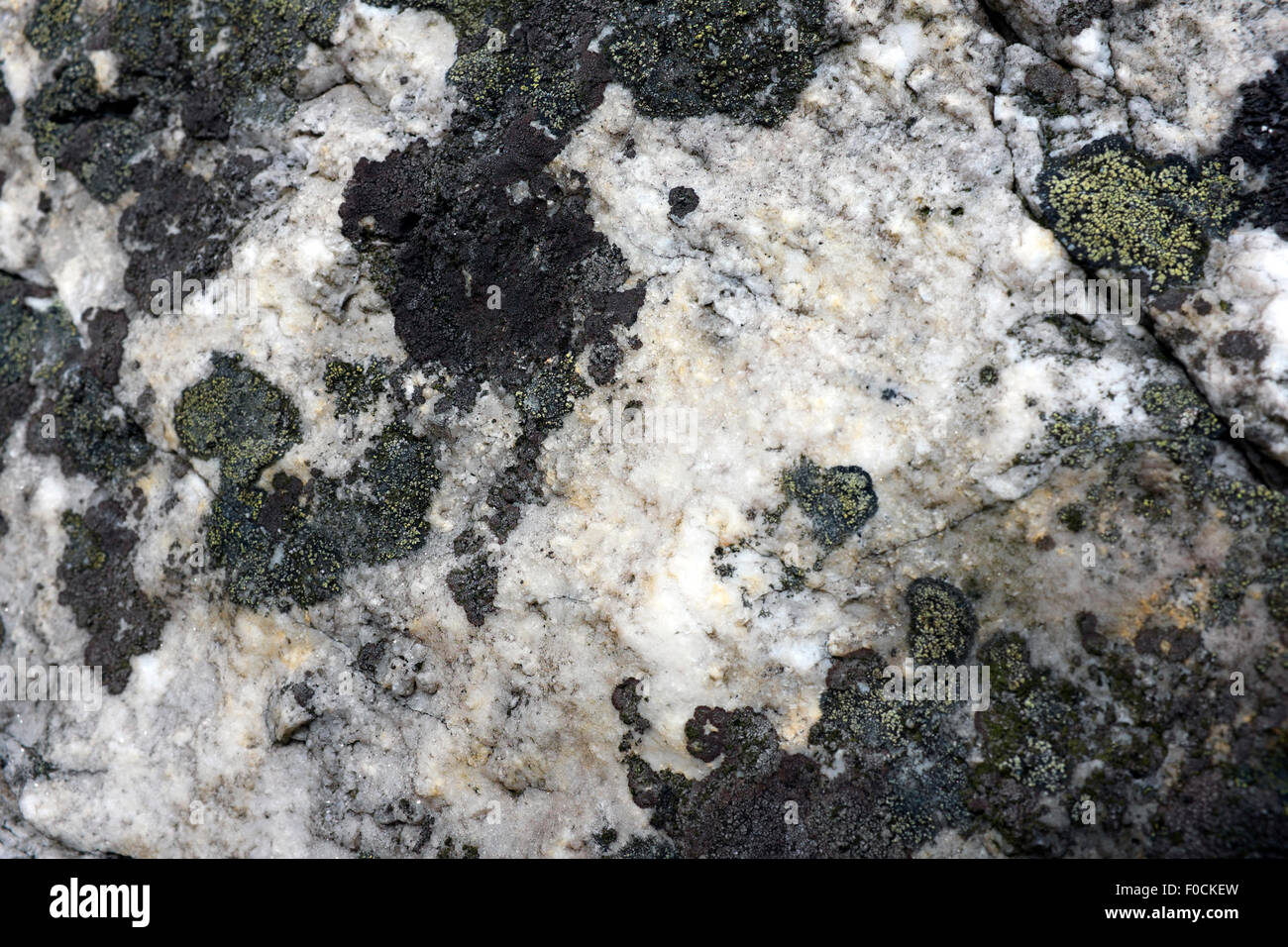 Quartzite rock on the Stiperstones, Shropshire, England, UK Stock Photo ...