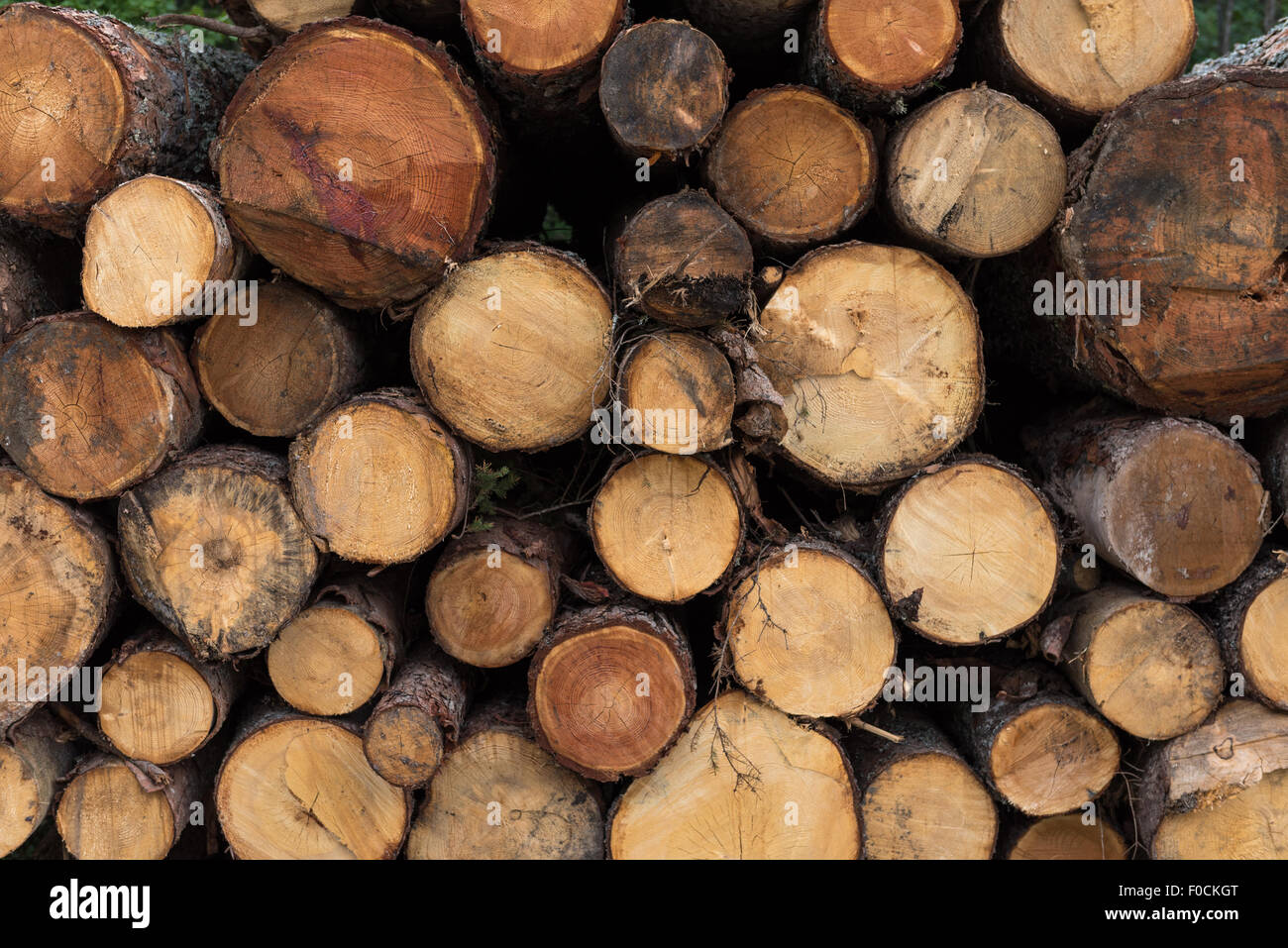 Stacked pile of wood Stock Photo - Alamy