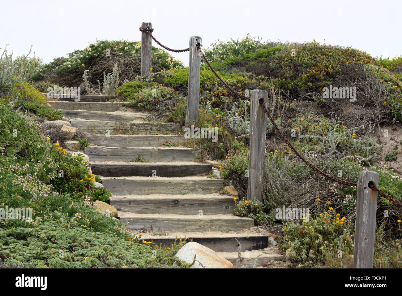 Cliff stairs steps hi-res stock photography and images - Alamy