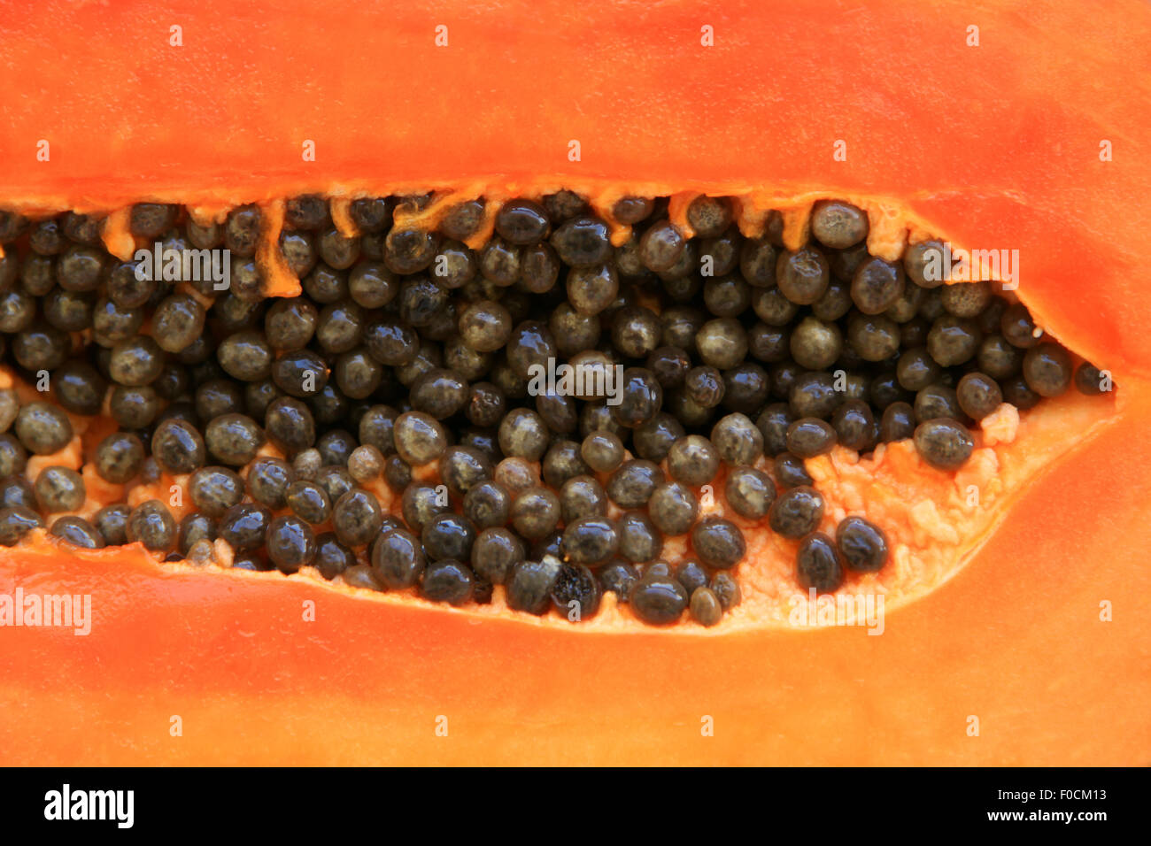 Colorful macro photo of a fresh papaya Stock Photo - Alamy