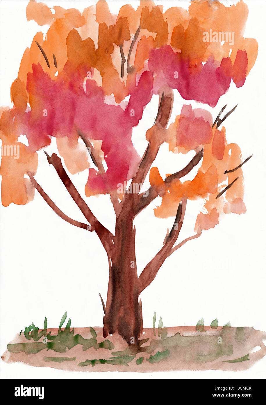 child's drawing watercolor. Isolated autumn tree Stock Photo - Alamy