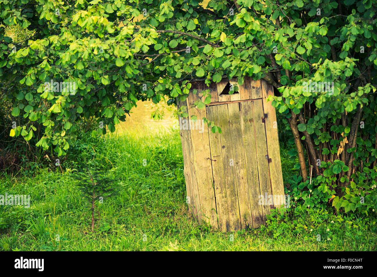 Old Wooden Backyard Outhouse. Rustic Outhouse Stock Photo - Alamy
