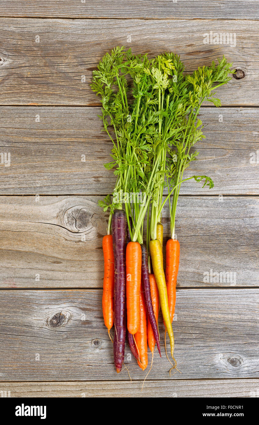 Fresh rainbow carrots on rustic wood. Top view of image in vertical ...