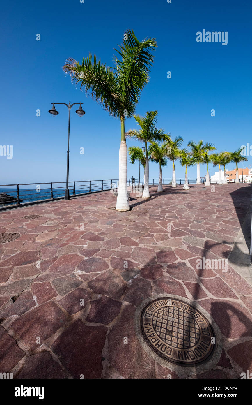 Wide angle view of palm trees along the red crazy paving promenade at ...