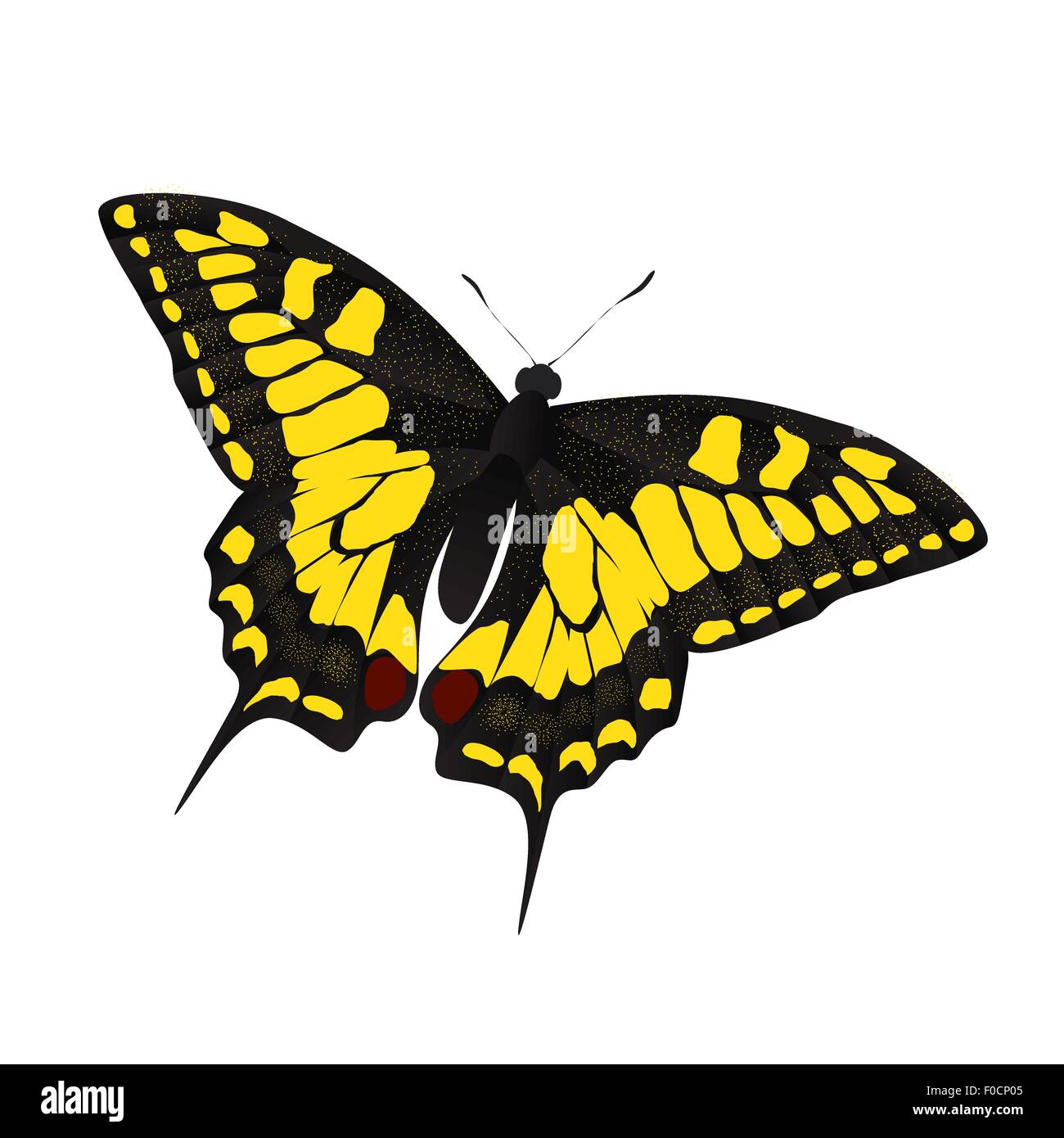 Butterfly Vector Illustration Stock Vector Image & Art - Alamy