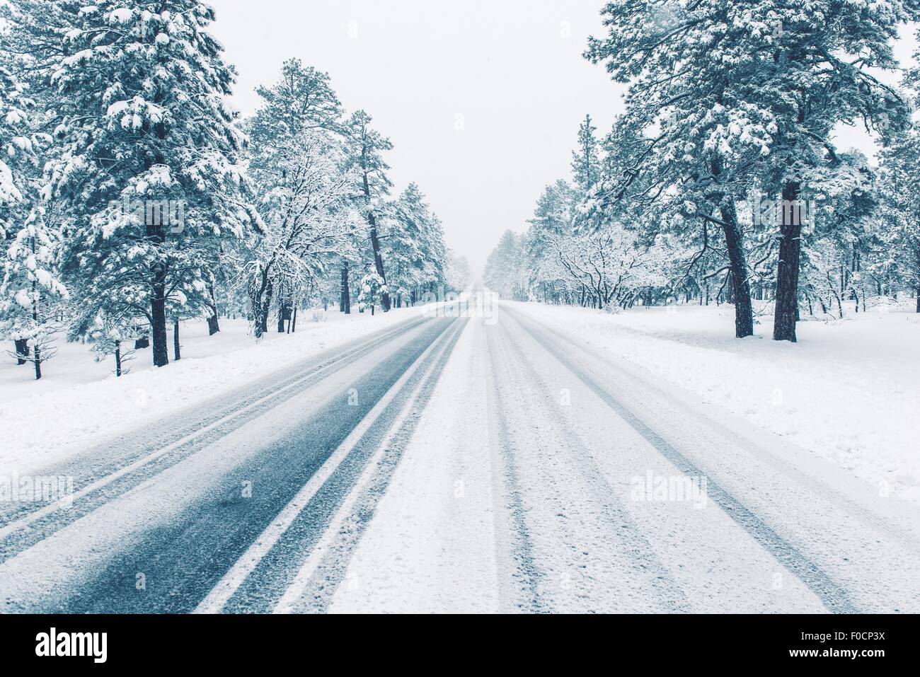 Winter Road Covered by Ice and Snow. Winter Weather Road Condition ...