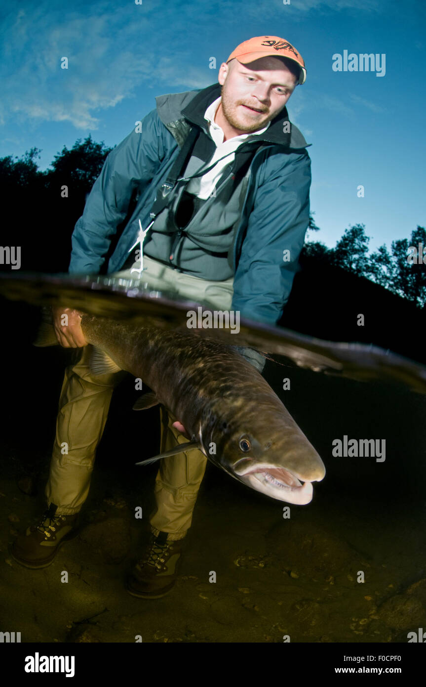 Salmo salar fishing hi-res stock photography and images - Alamy