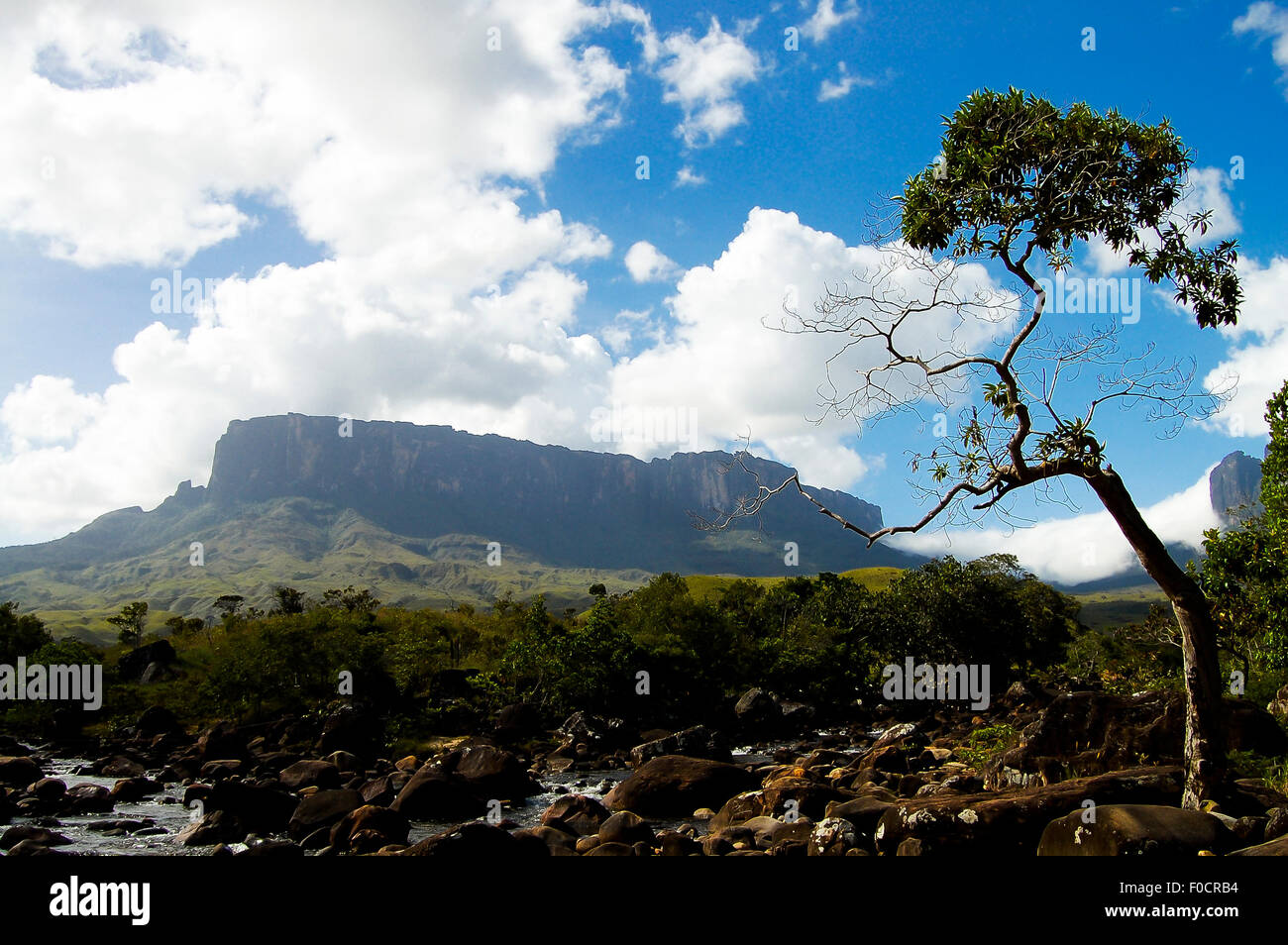 Roraima mountain hi-res stock photography and images - Alamy