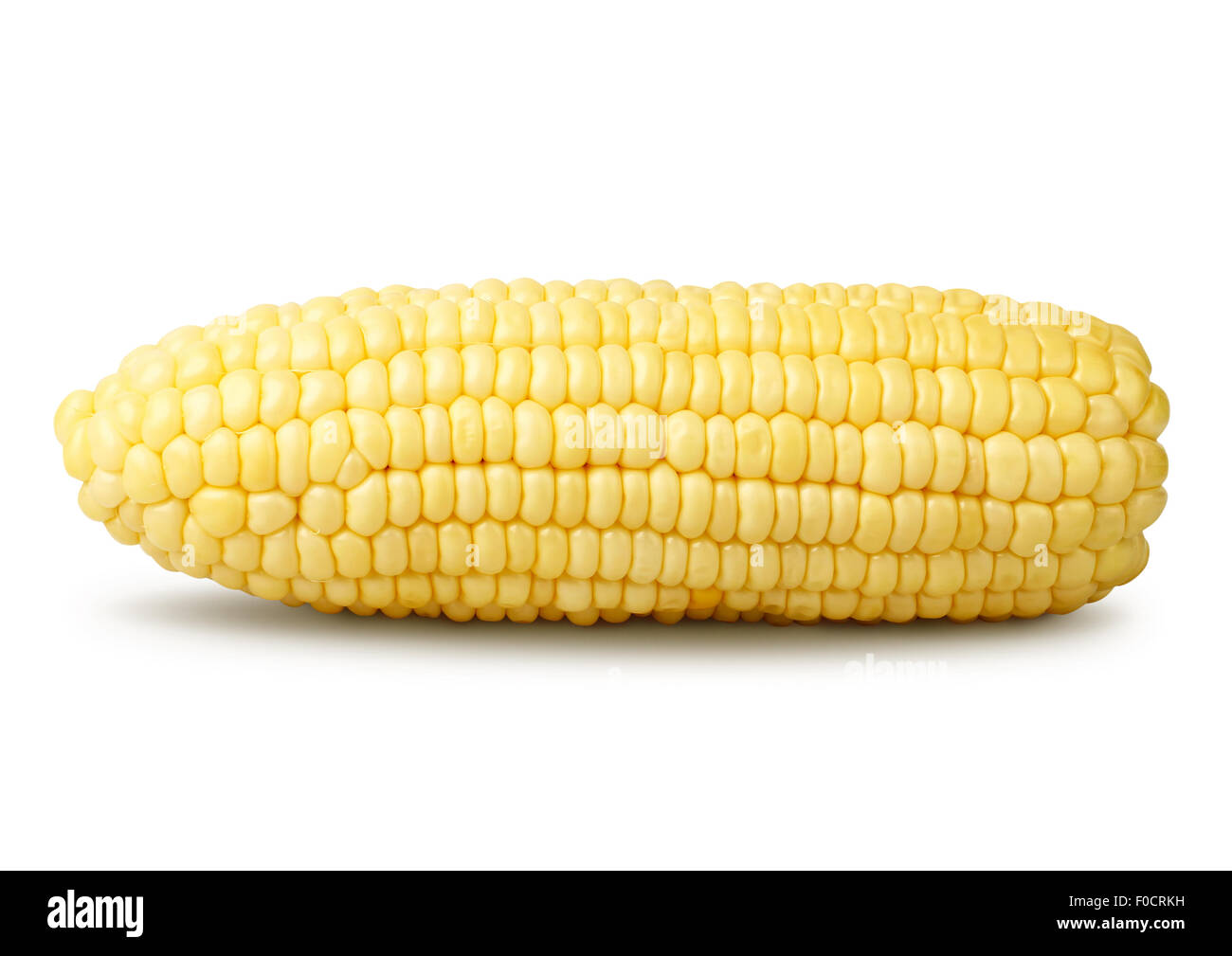 Corn isolated on a white background Stock Photo - Alamy